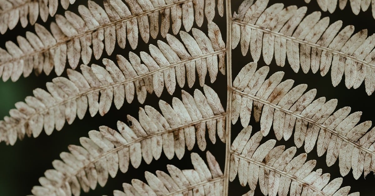 Preparing for ML through Data Exploration